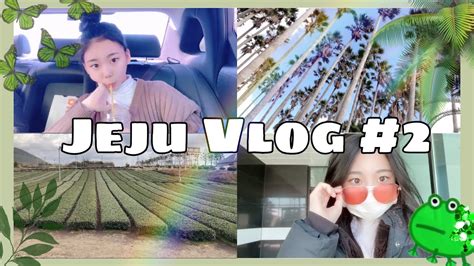 Vlog Jeju Vlog 2 제주도제주도여행제주도브이로그07가족여행여행이쭈만 Youtube