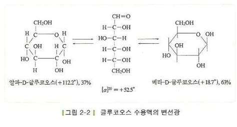 2 탄수화물의 이해 네이버 블로그