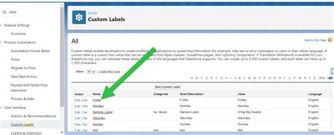 salesforce navigate to custom labels