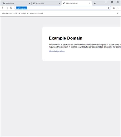 At Startup Chrome Open About Blank Tabs Issue Googlechrome Chrome Launcher Github