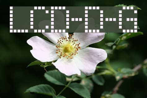 LCD Display Grid Font FFonts Net