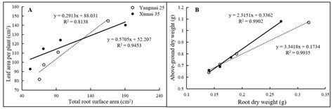 Correlation Analysis Of Root Surface Area To Leaf Area A And Root