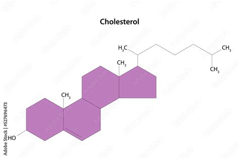 Cholesterol Molecule Structural Formula Essential Component Of Cell