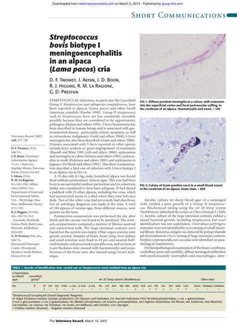 Pdf Streptococcus Bovis Biotype I Meningoencephalitis In An Alpaca