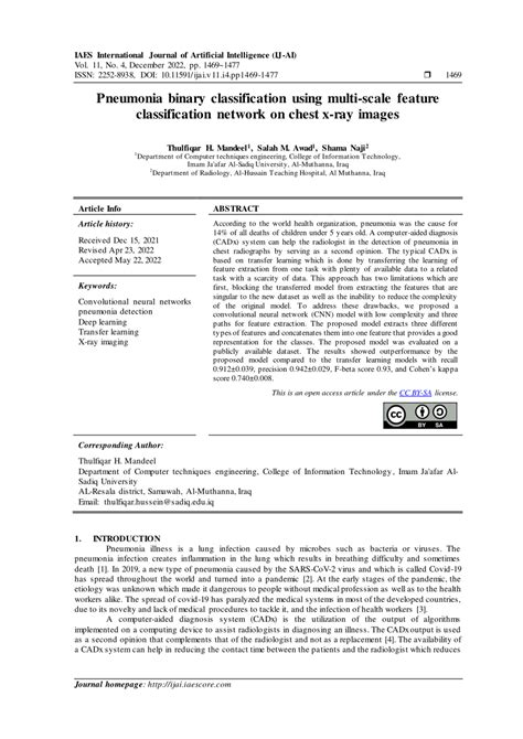 pdf pneumonia binary classification using multi scale feature