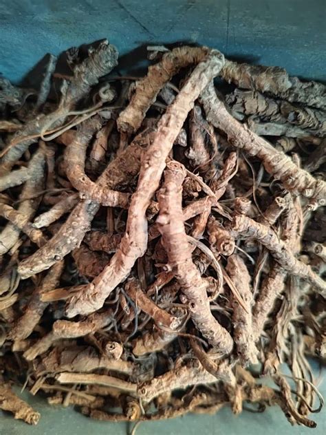 Nepali Kutki Extract At ₹ 210kg Kutki Root Extract In Haridwar Id