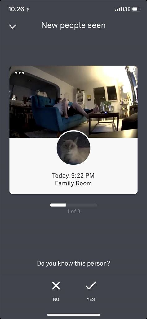 Familiar Face Indeed Anyone Elses Camera Recognize Their Cat R Nest