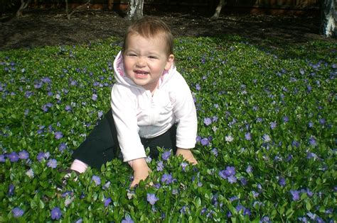 Cimg1688 Ken Murchison Flickr