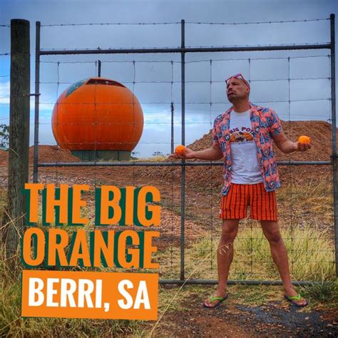 The Big Orange Berri Sa Land Of The Bigs