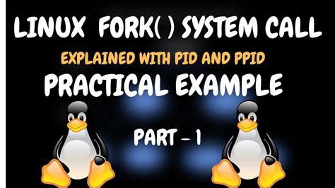 Fork Pid Ppid Linux System Calls C Programming Os 2024