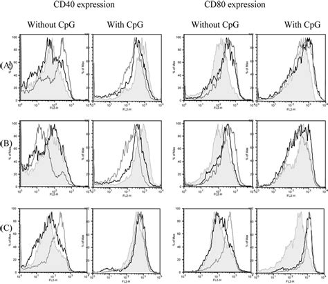 As Assessed By Flow Cytometry Expression Of The Maturation Markers