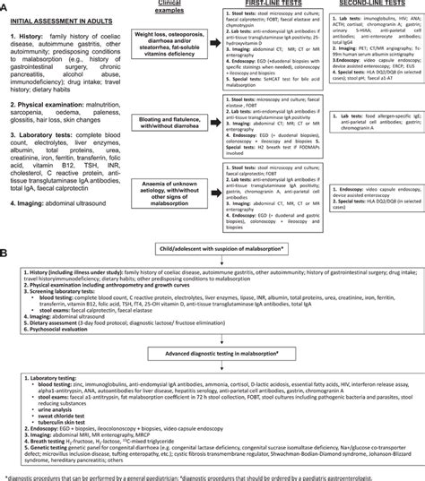 A Schematic Algorithm For The Diagnosis Of Malabsorption In Adults