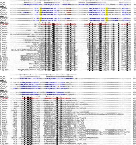 structure based sequence alignment of cj trhbp with members of groups
