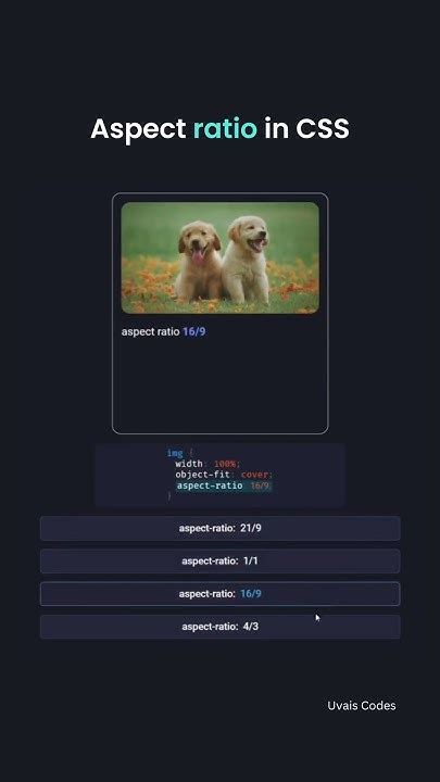 Aspect Ratio In Css Coding Shorts Youtube