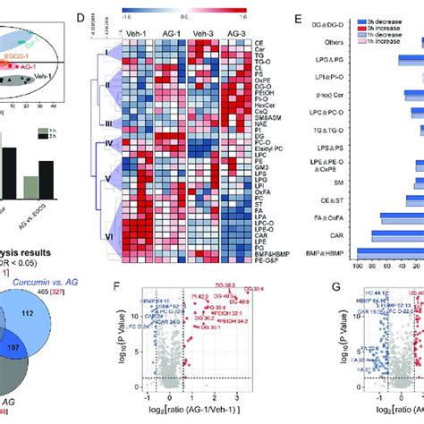 Statistical Information Of Biomarker Candidates Download Scientific