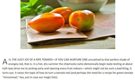 20 Blog Post Examples To Inspire And Kickstart Your Creativity Ai App News