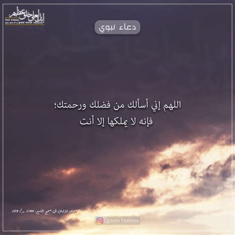 Pin On Al Quran Passion