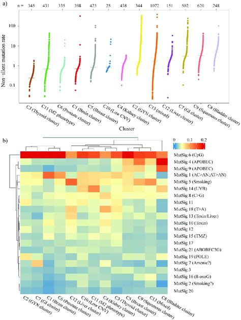 Mutation Analysis Of Ml Clusters A Non Silent Mutation In Each Download Scientific Diagram