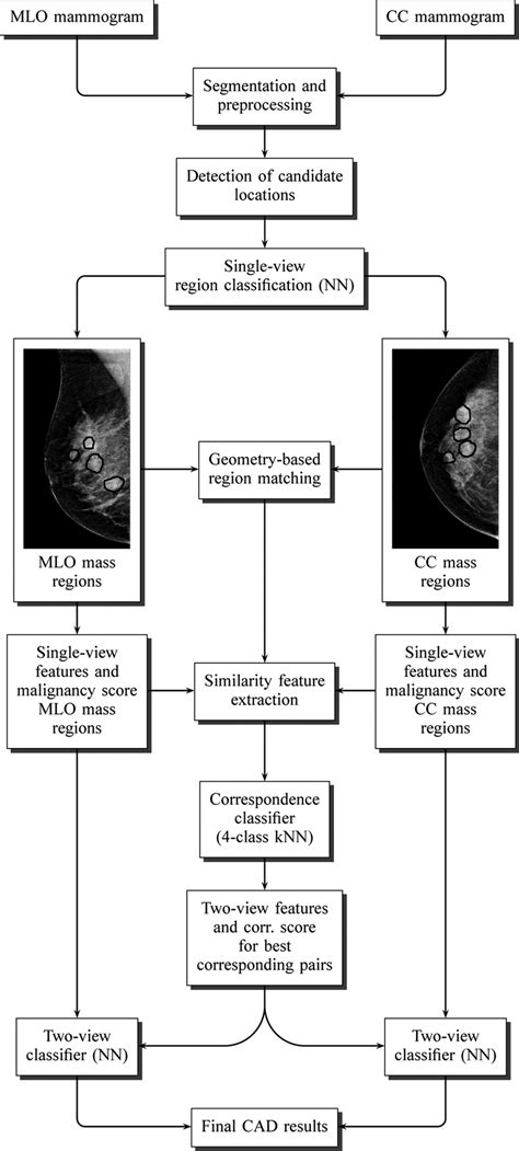 Schematic Diagram Of Our Two View Computer Aided Detection System For