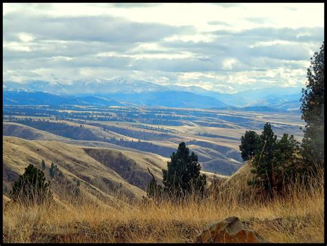 The Back Porch View A Long Winters Night Sheltering In White Bird Idaho