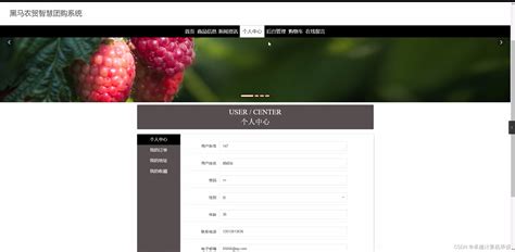 开题报告 Springboot黑马农贸智慧团购系统vh9xr计算机毕业设计 Csdn博客