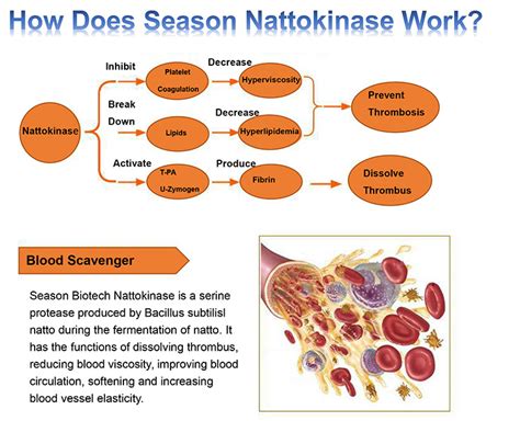 20000fu Bacillus Subtilis Natto Kinase Nattokinase Supplements