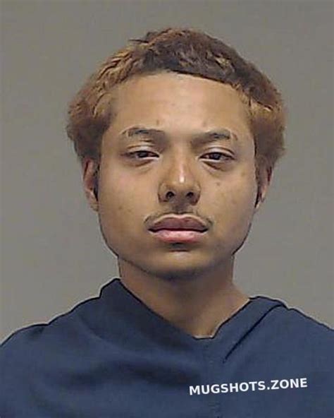 Devora Angel Alba 02262024 Collin County Mugshots Zone