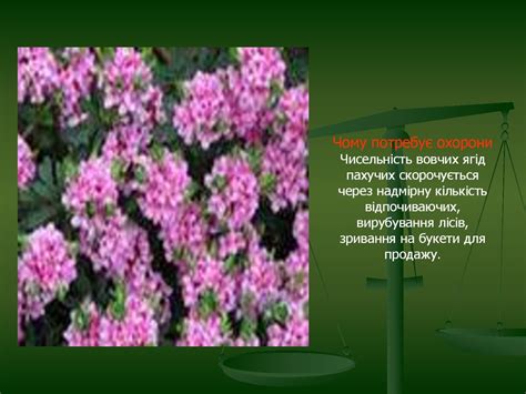 Червона книга України Рослинний світ презентация онлайн