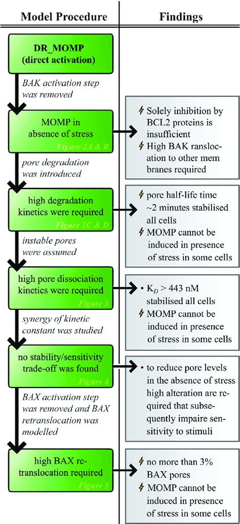 analysis workflow scheme a summarising scheme illustrating the work