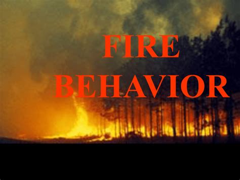 Fire Behavior Wildland Fire Environment And Characteristics