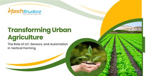 iot in vertical farming role of sensors and automation