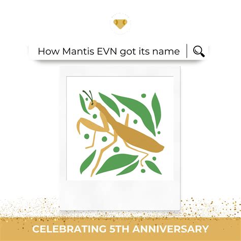 mantis evn mantis evn instagram photos and videos