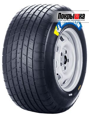 Шины Michelin, купить резину Мишлен с доставкой