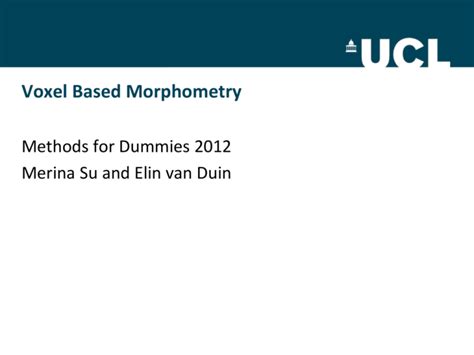 voxel based morphometry