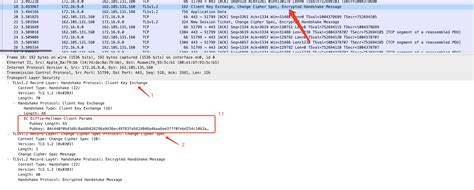 TLS协议原理一 天 宇 翱 翔 博客园