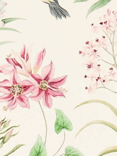 Sanderson Clementine Wallpaper Wallpaper Big Girl Rooms Flowers