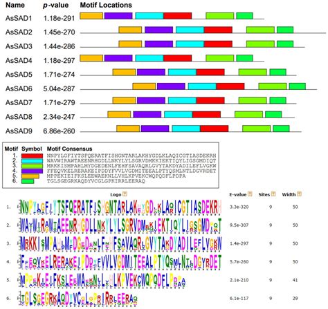 In Silico Identification And Characterization Of Fatty Acid Desaturase