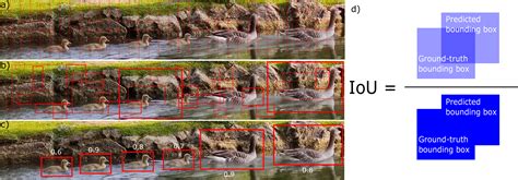 Applications Of Object Detection Networks In High Power Laser Systems And Experiments High