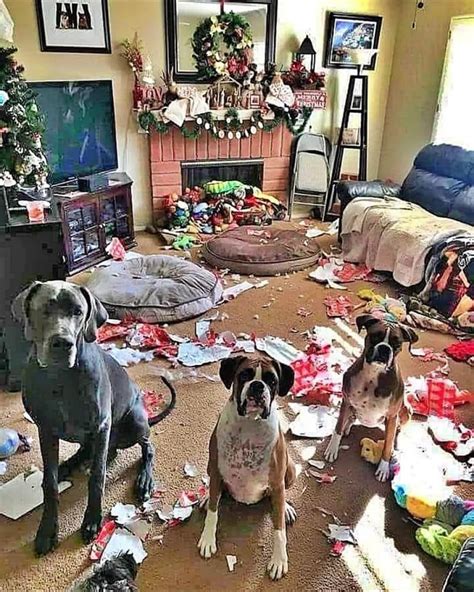 didier delhaisse on linkedin some having a rough time… happy holidays