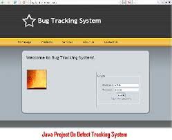 Bug Tracking System Assignment Point
