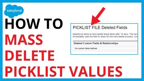 How To Mass Delete Picklist Values In Salesforce Quick Guide Youtube