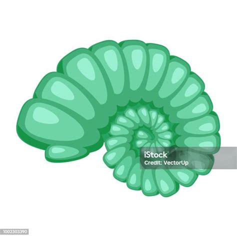 귀여운 밝은 녹색 만화 조개 아이콘입니다 다채로운 조개 기호 흰색 배경에 고립입니다 만화 스타일입니다 벡터 일러스트 레이 션 가리비에 대한 스톡 벡터 아트 및 기타 이미지