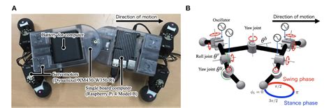 Figure 1 From Sprawling Quadruped Robot Driven By Decentralized Control With Cross Coupled
