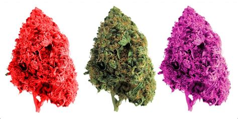 Purple Red And Green Weed A Guide To Your Bud Colors
