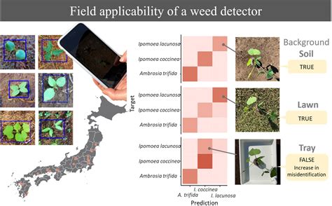 Field Evaluation Of An Agricultural Weed Detector Using Yolo Image Recognition Background