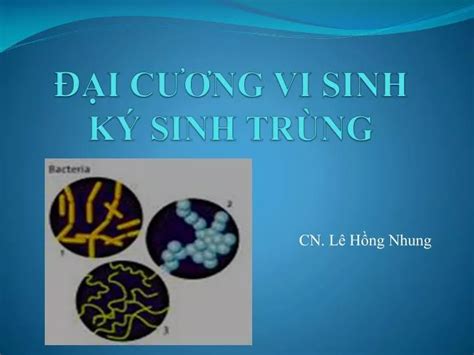 PPT Đ ẠI CƯƠNG VI SINH KÝ SINH TRÙNG PowerPoint Presentation free download ID