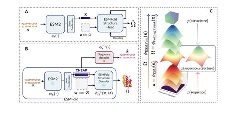 Transforming Protein Structure And Function Prediction With Cheap