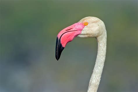 Pradip Jagtap Pixavince Photography School