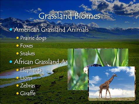 Ppt Living Things And Their Environment Powerpoint Presentation Free