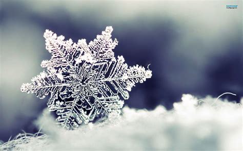 Falling Snowflake Images